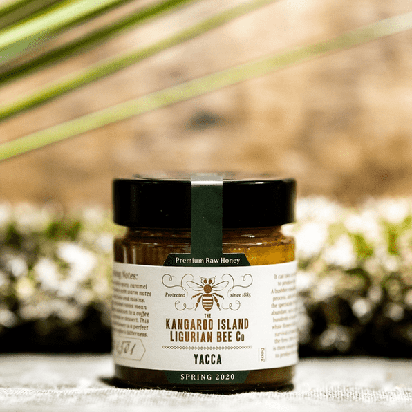 Yacca Honey – Kangaroo Island Ligurian Bee Co