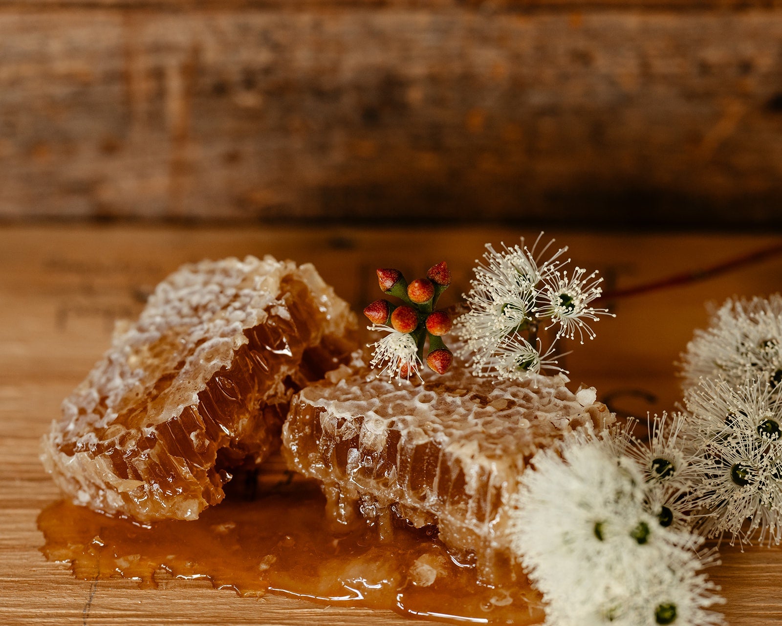 Honey - Pure Comb – Kangaroo Island Ligurian Bee Co